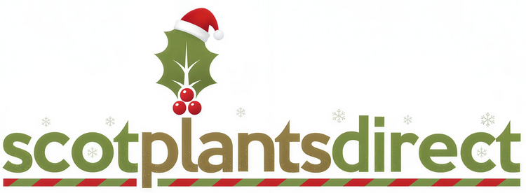 Hedging Plants - Scotplants Direct UK